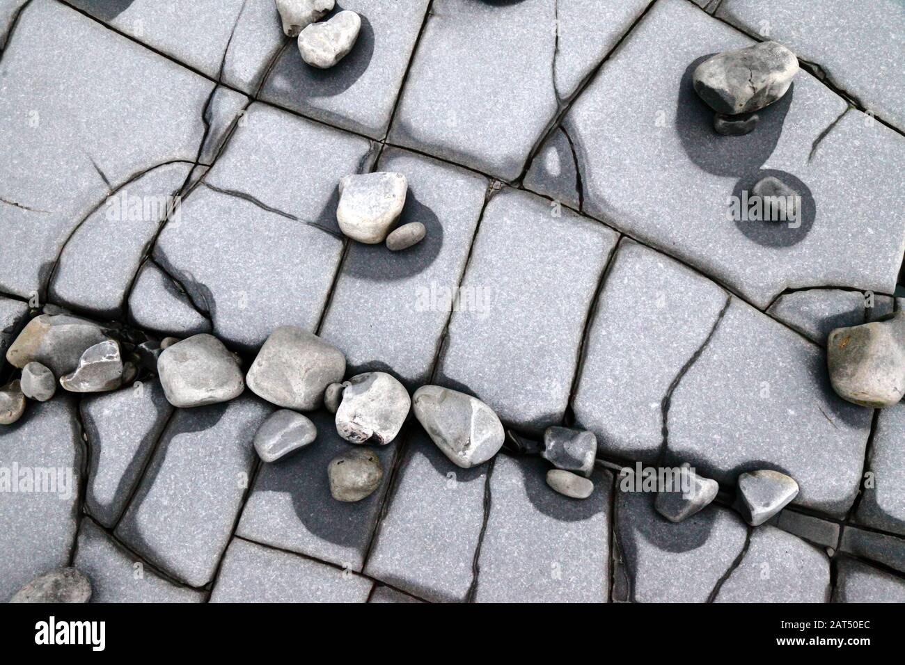Limestone pavement on foreshore at Lavernock Point, South Glamorgan ...