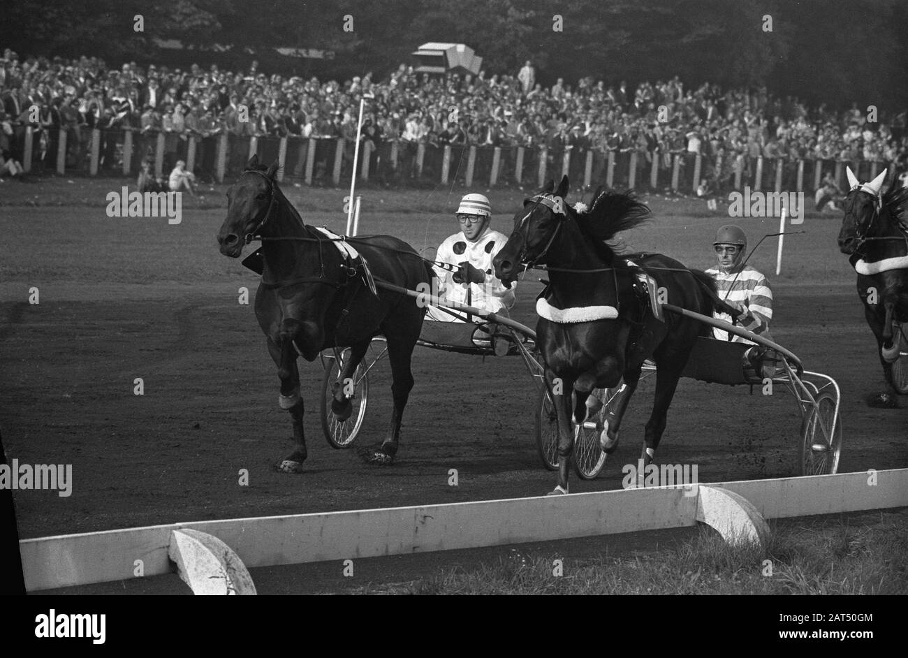 14 jan wagenaar hi-res stock photography and images - Alamy