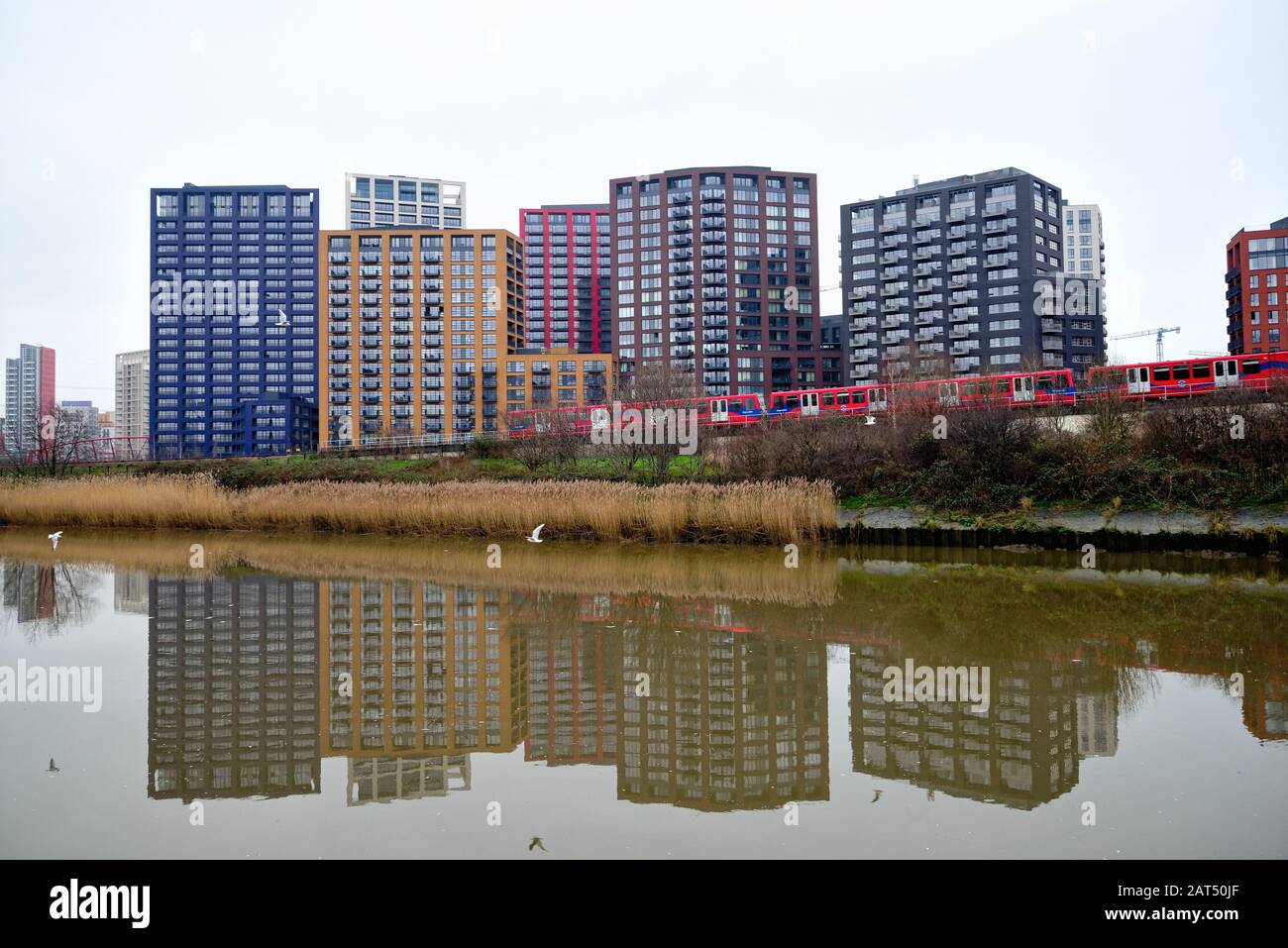 Modern high rise apartments on London City Island, Canning Town East ...