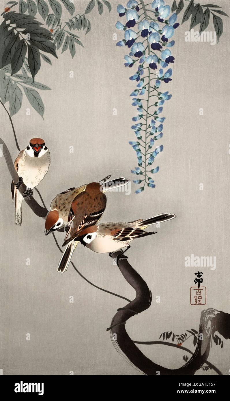 Illustration of a bird vintage design Stock Photo - Alamy