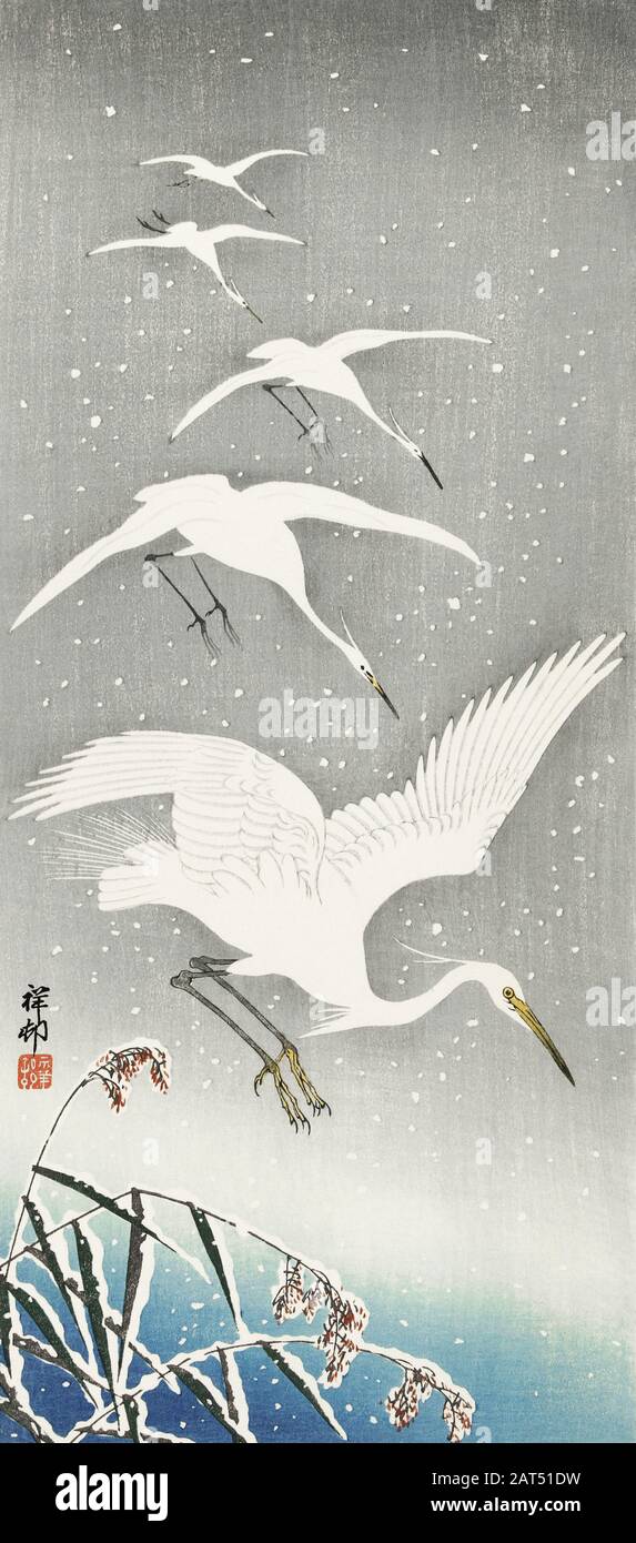 Illustration of a bird vintage design Stock Photo - Alamy