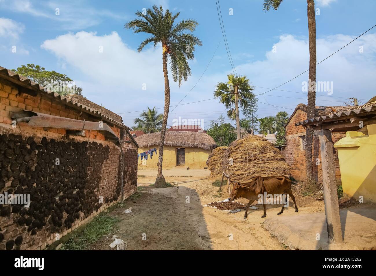 Bengal village scene hi-res stock photography and images - Alamy