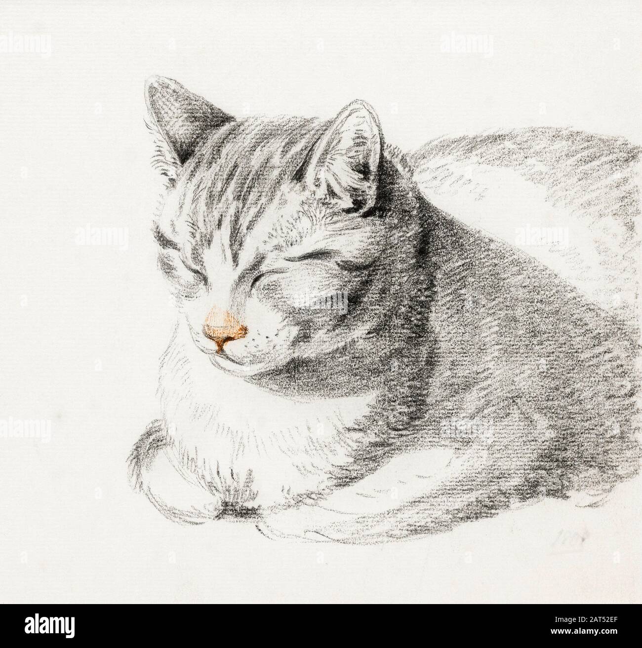 Vintage cat illustration artwork Stock Photo - Alamy