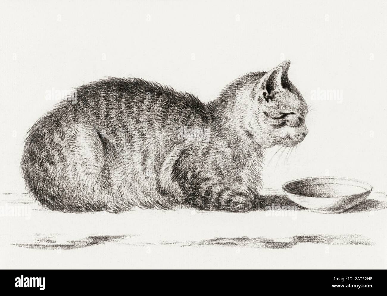 Vintage cat illustration artwork Stock Photo - Alamy