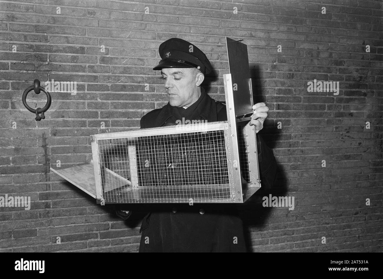 Prevailing rabies hi-res stock photography and images - Alamy