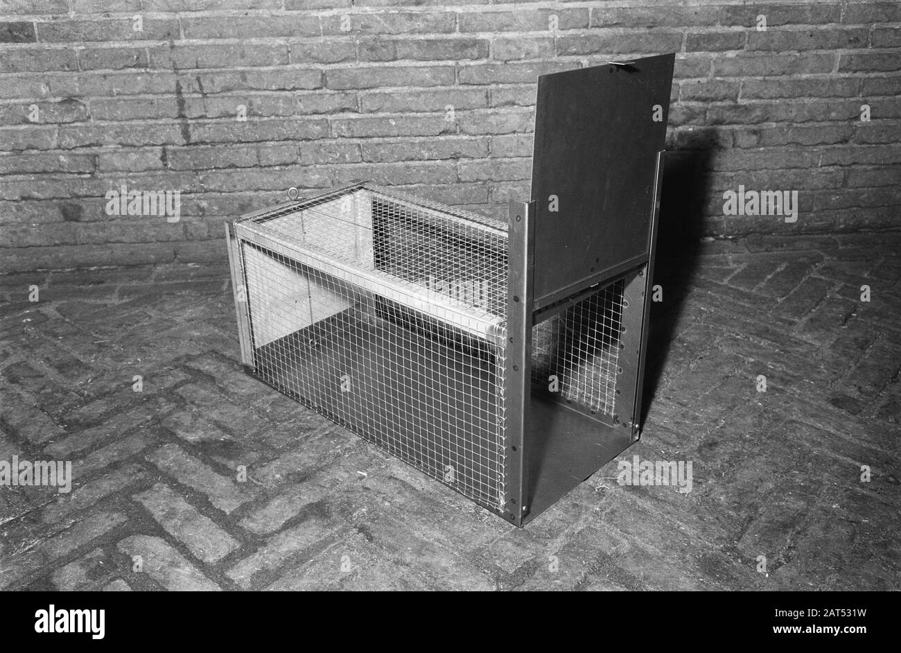 Prevailing rabies hi-res stock photography and images - Alamy