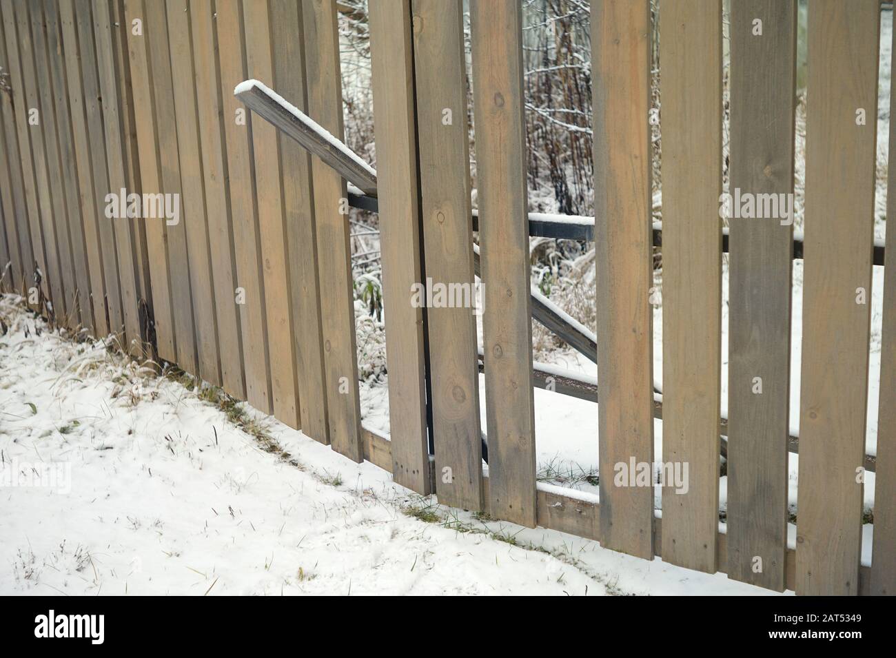 Damaged wooden fence with a gap, winter scene, concept of burglary ...