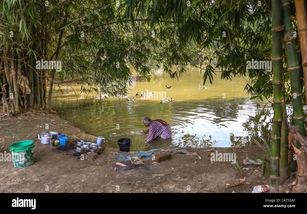 Tribe swimming ducks hi-res stock photography and images - Alamy
