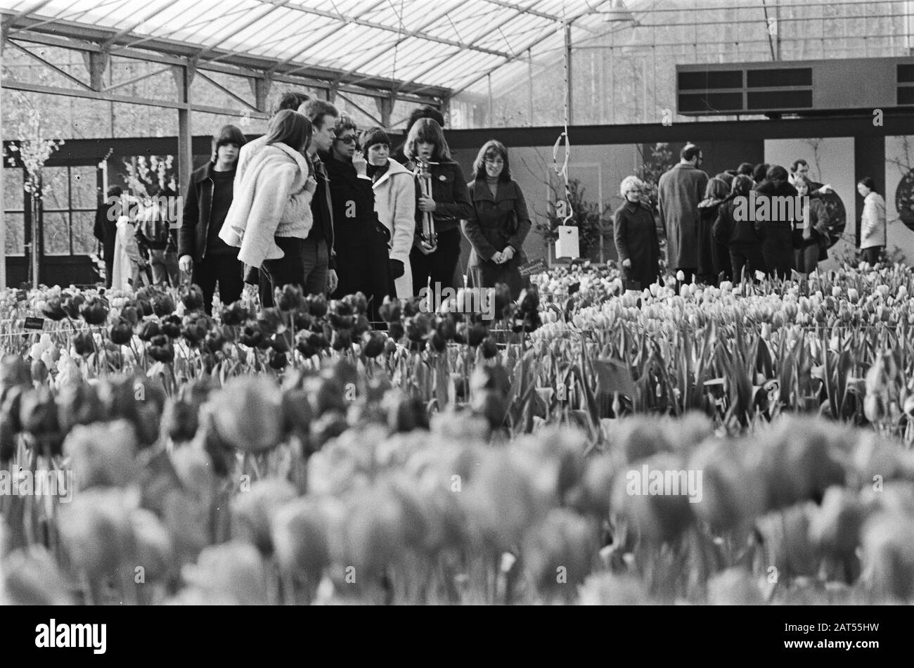 Keukenhof displays tulips in Black and White Stock Photos & Images - Alamy