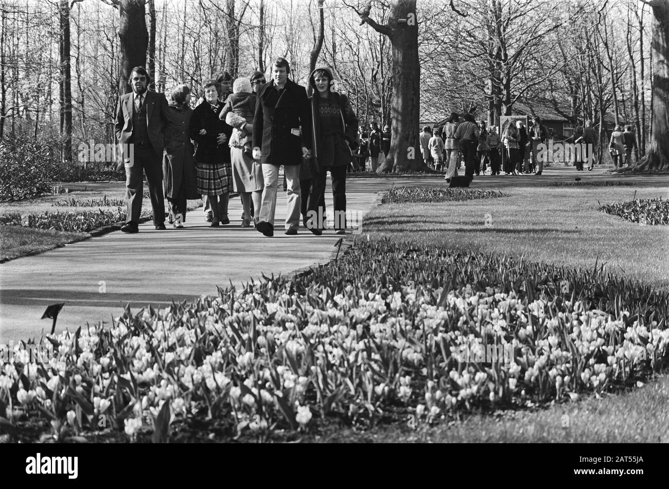 Keukenhof displays tulips in Black and White Stock Photos & Images - Alamy