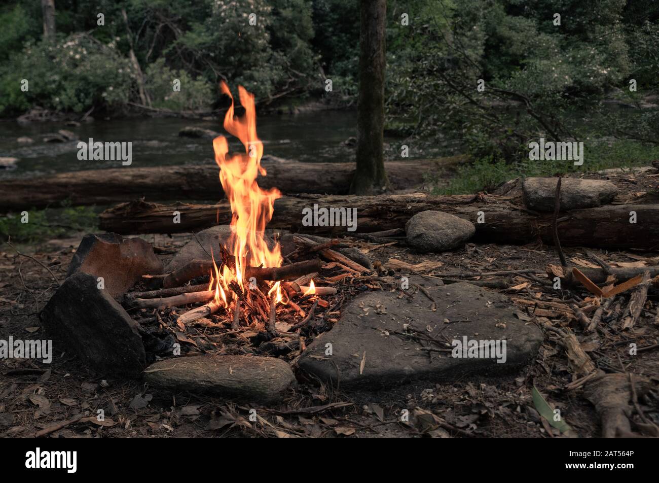 Campfire surrounded by greenery and rocks with a river on the ...