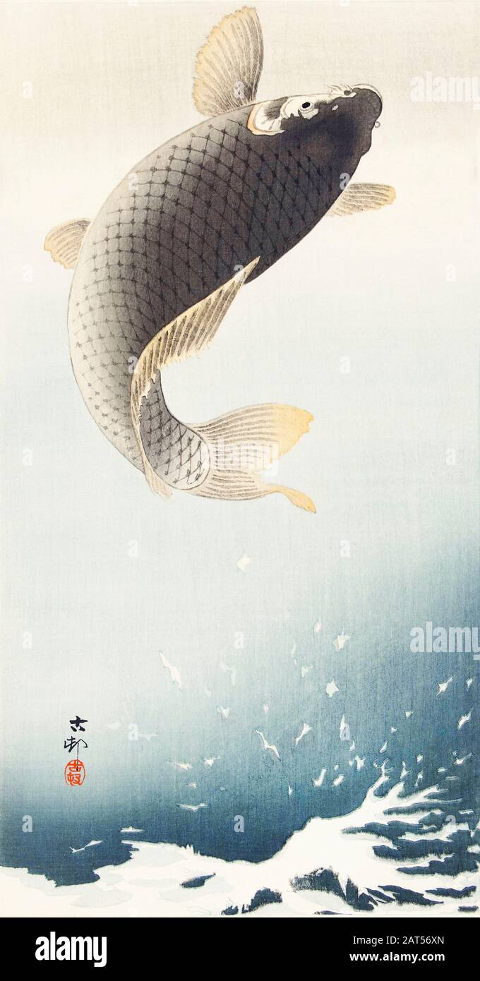 chinese oriental fish carp illustration art Stock Photo - Alamy
