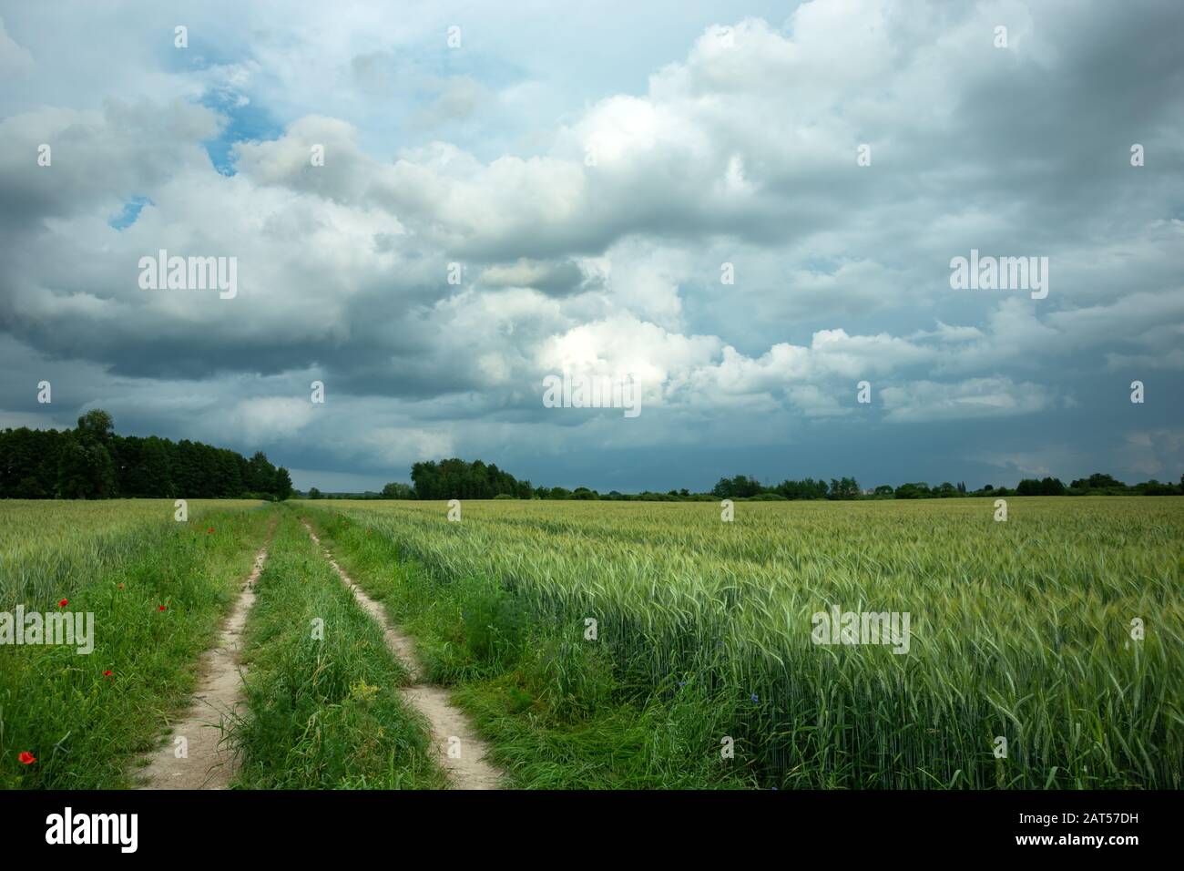 Rainy path hi-res stock photography and images - Alamy