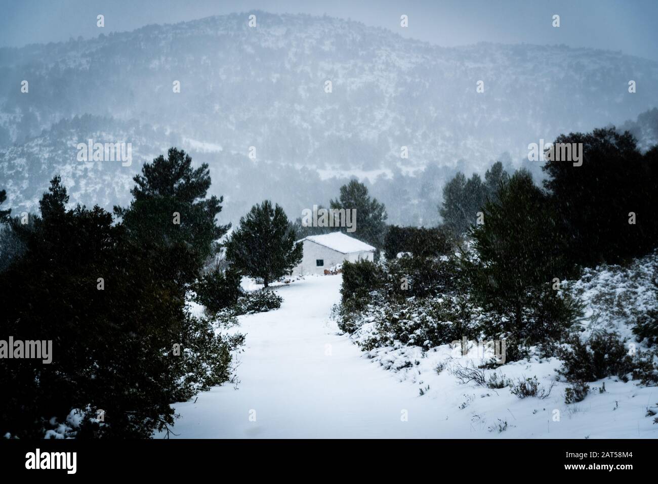 Rural house isolated in the mountains during an intense snowfall Stock ...