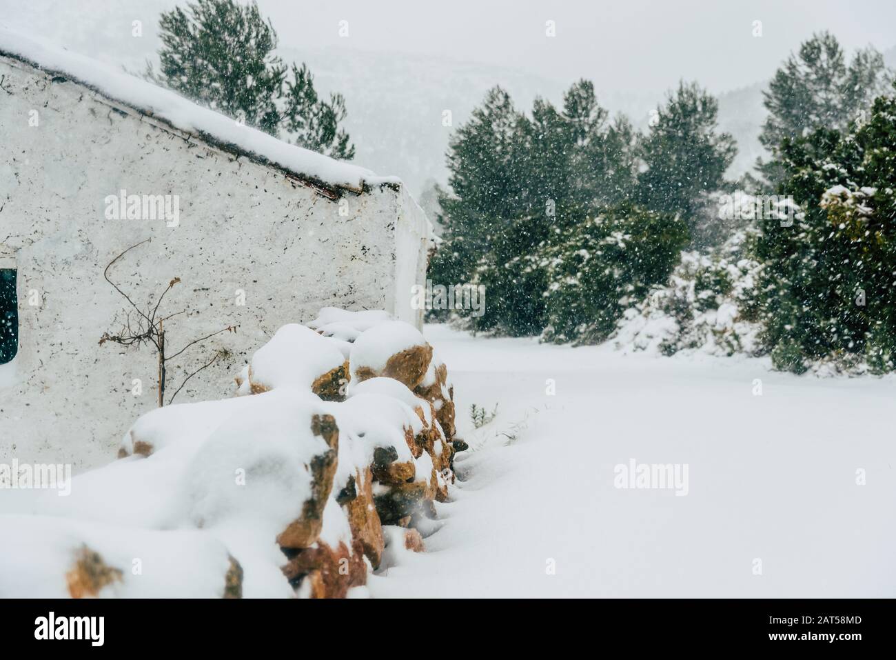Intense snowstorm hi-res stock photography and images - Alamy