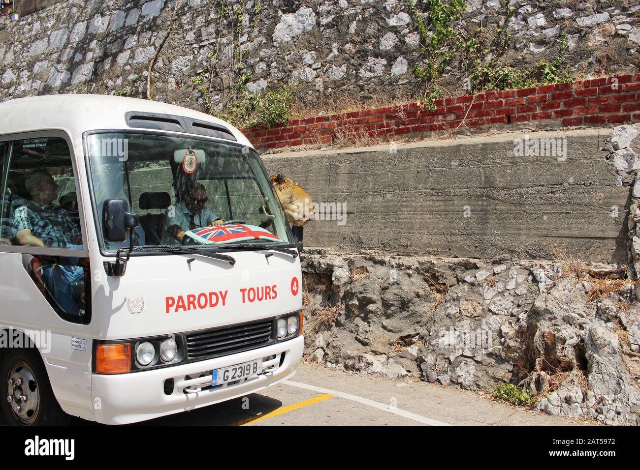 GIBRALTAR, UNITED KINGDOM - Jul 08, 2019: A barbary ape sitting on the ...