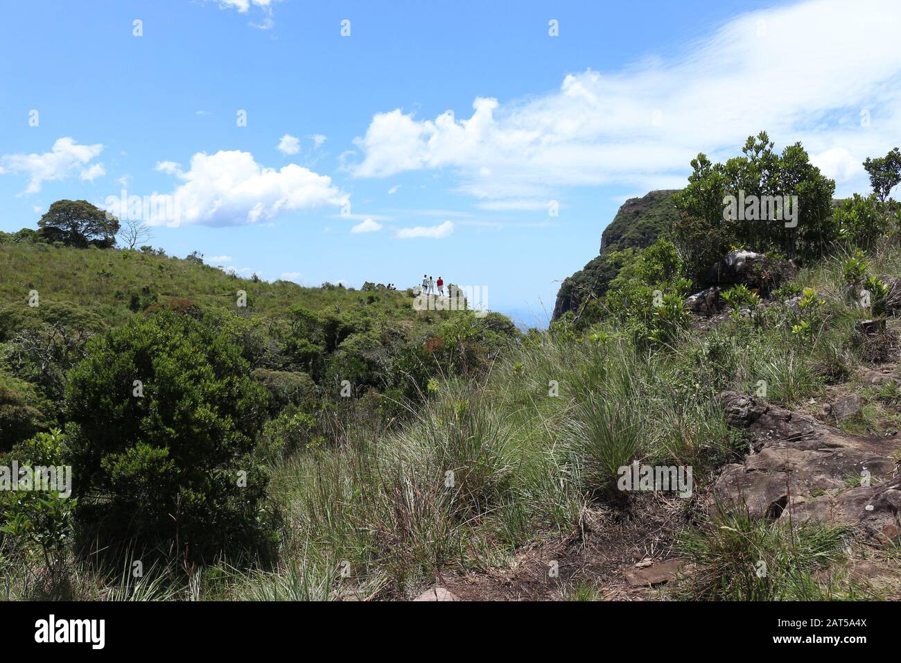 Dynamic Nature High Resolution Stock Photography and Images - Alamy