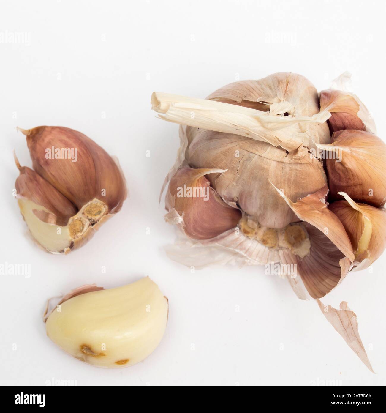 Garlic isolated on plain white background. Close-Up View of Raw Garlic ...