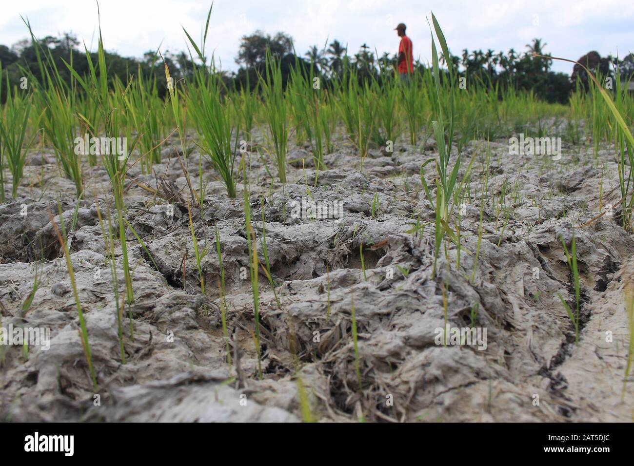 Farmers affected hi-res stock photography and images - Alamy