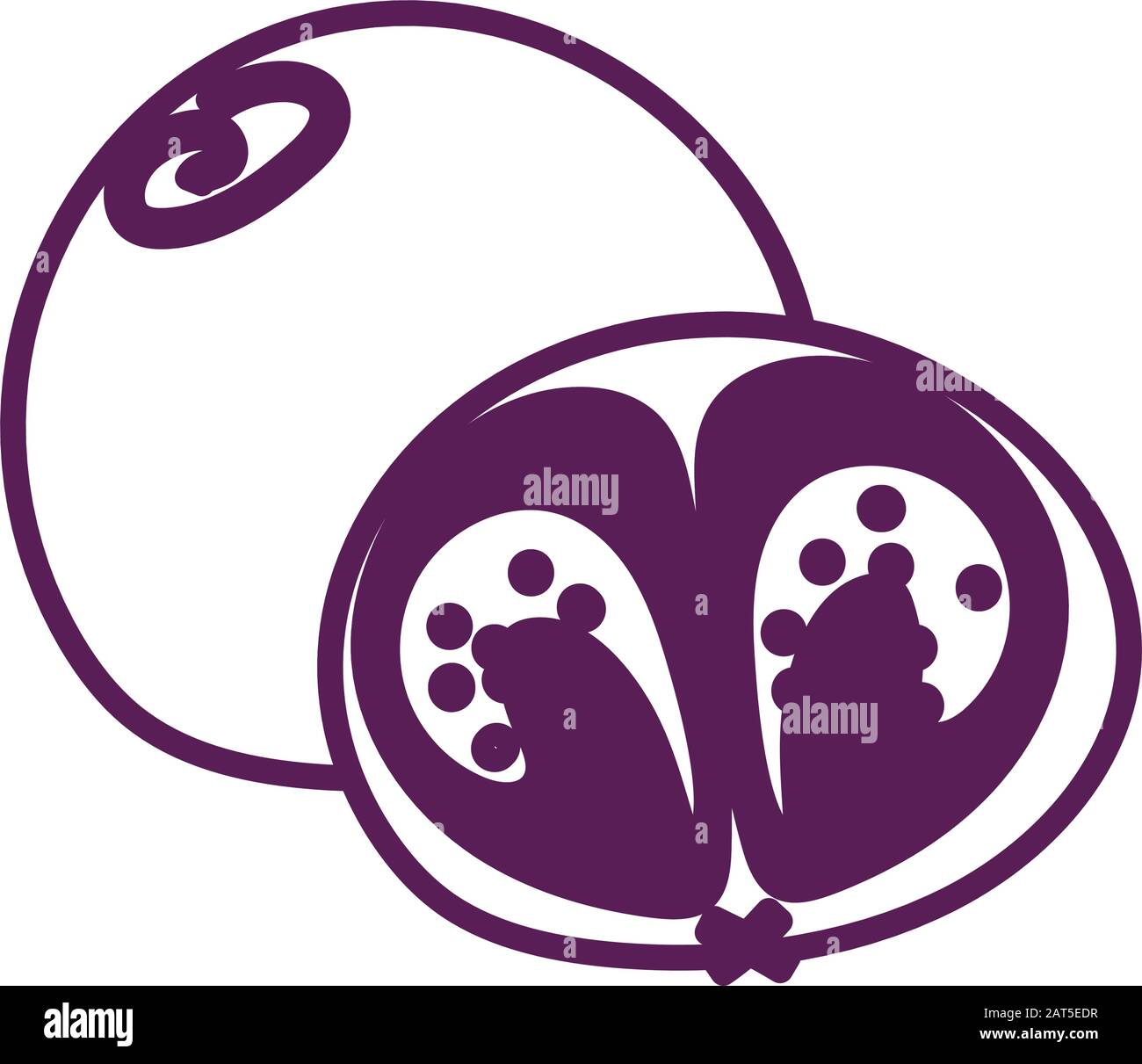 fresh lulo fruit isolated icon Stock Vector Image & Art - Alamy