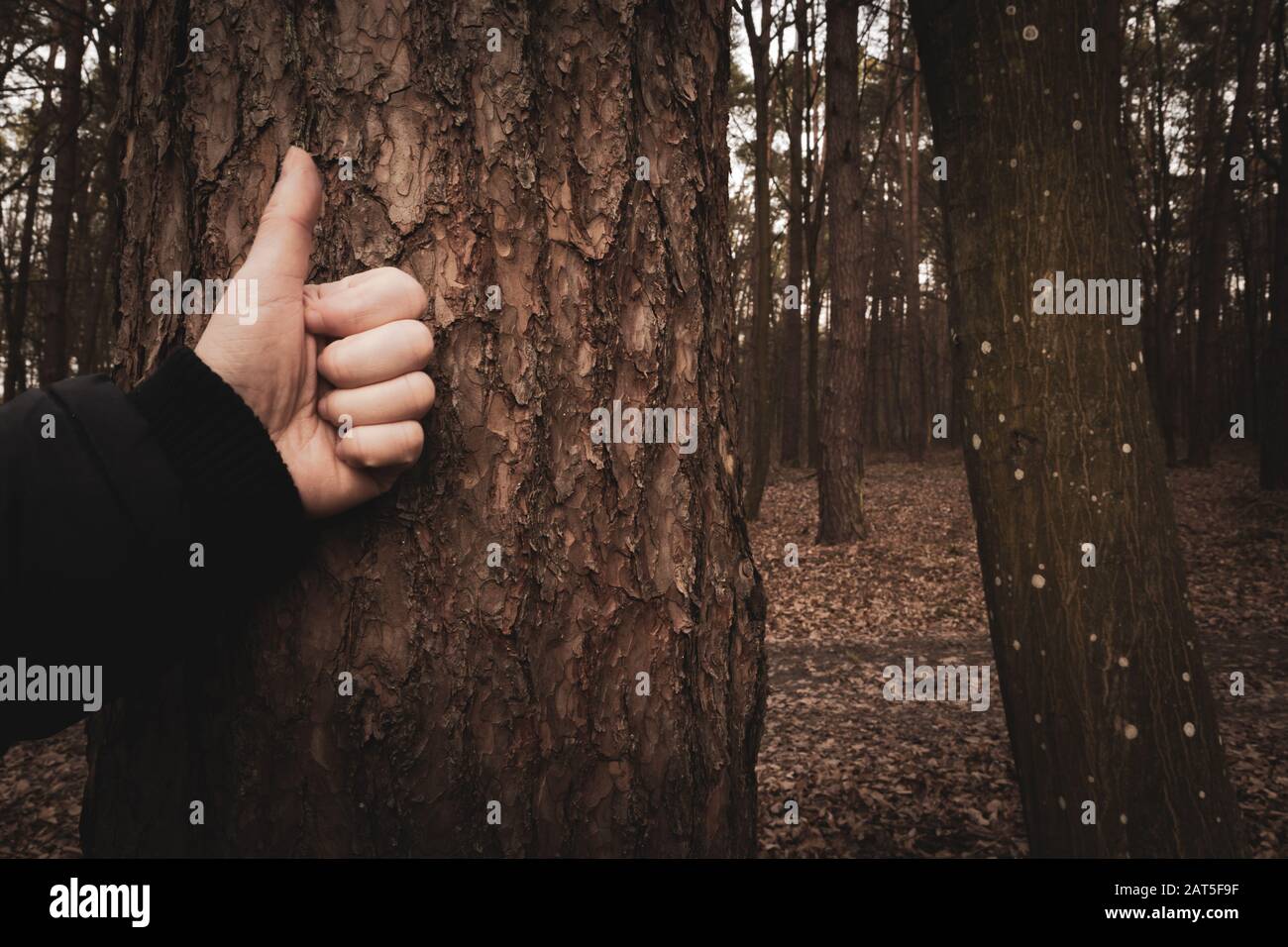 Ok hand symbol hi-res stock photography and images - Alamy