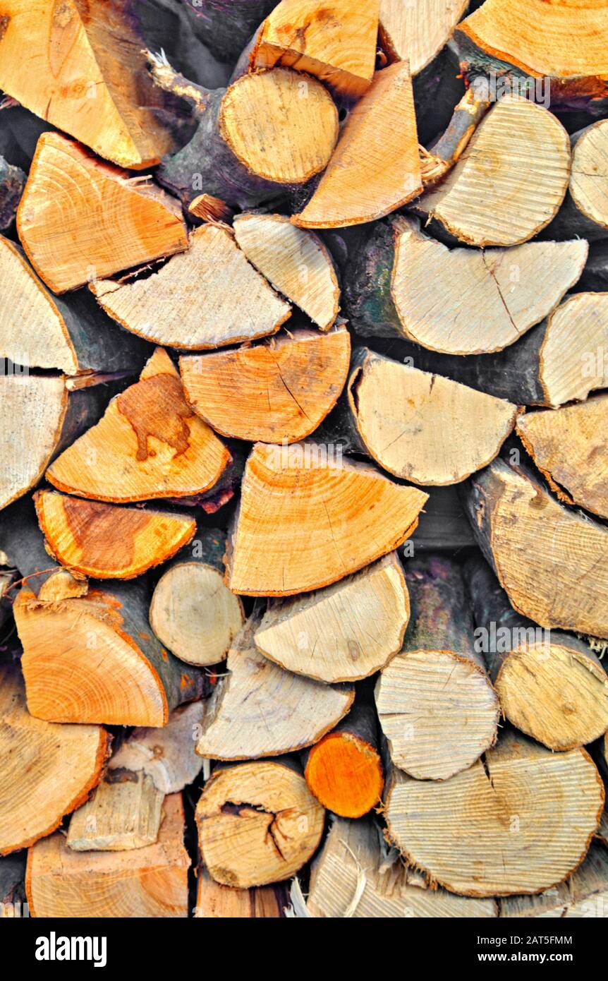 Colorful background of fresh cut timber close up view Stock Photo - Alamy