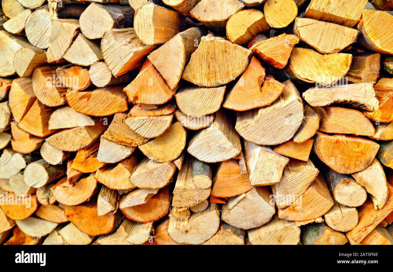 Colorful background of fresh cut timber close up view Stock Photo - Alamy