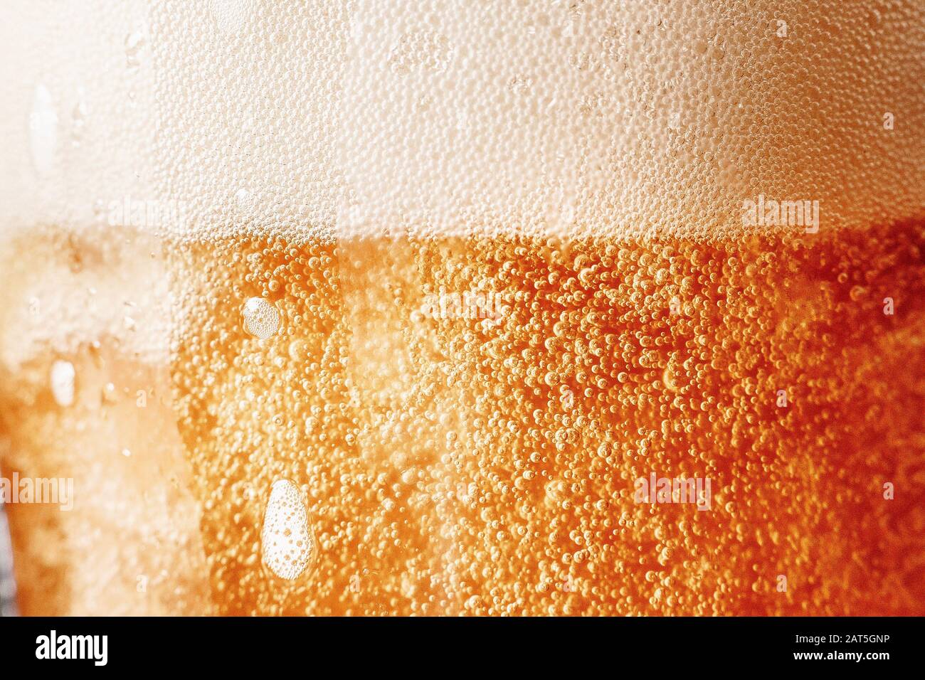 Close up gold background texture of yellow lager beer with froth and ...