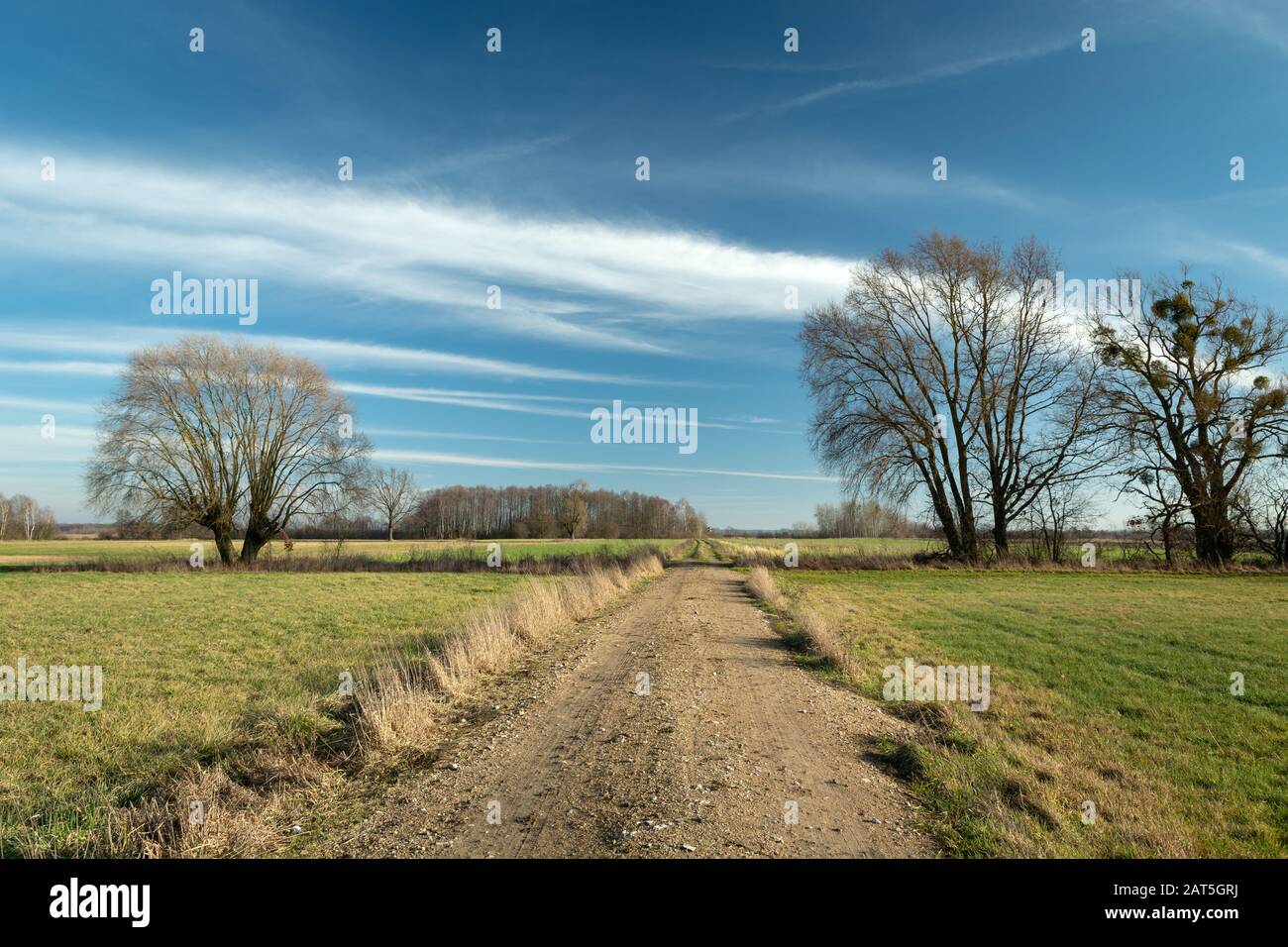 Country road through green meadows, trees without leaves and white ...