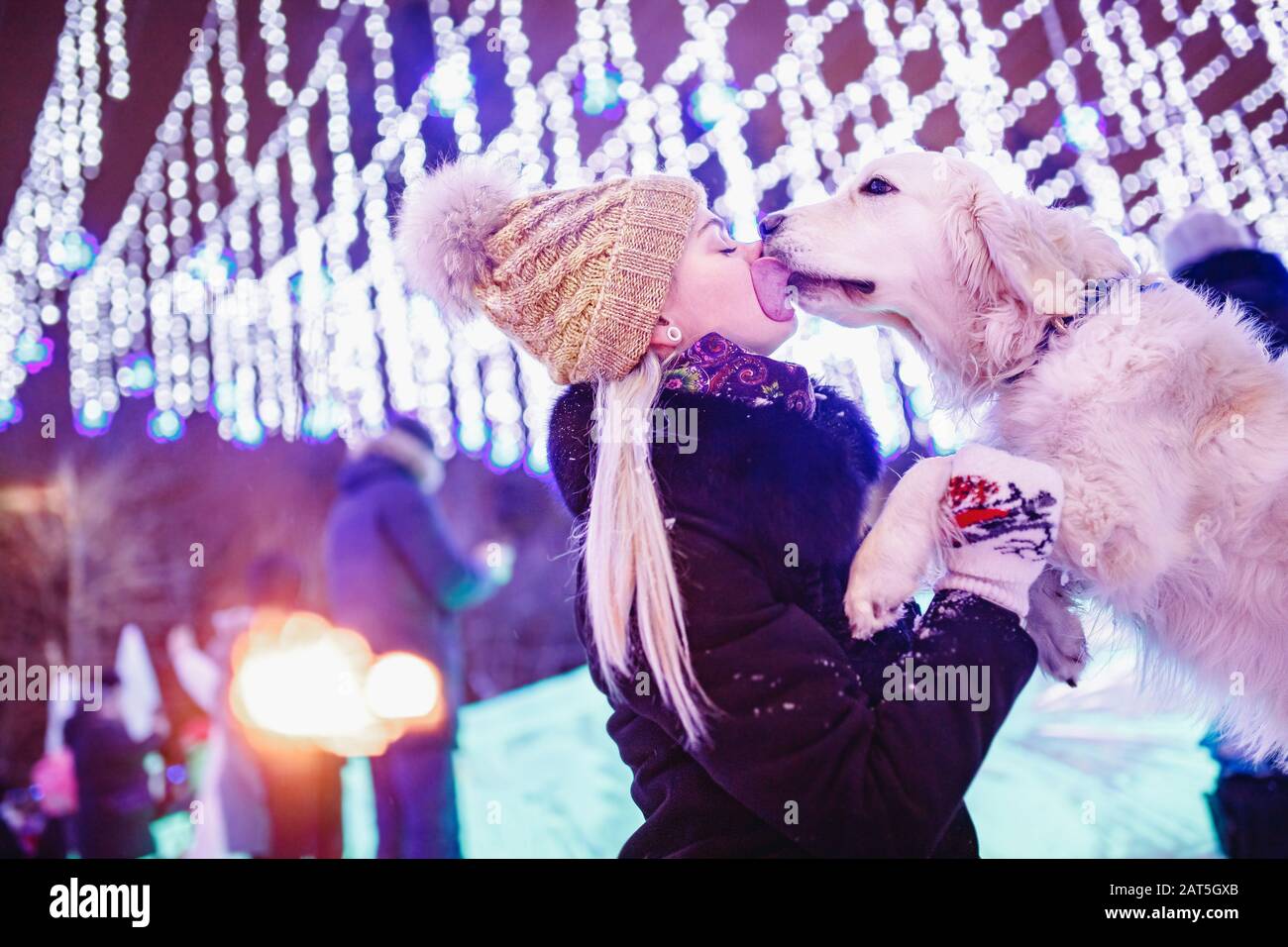 Devotion of dog, Labrador Retriever licks kisses mistress in winter in ...