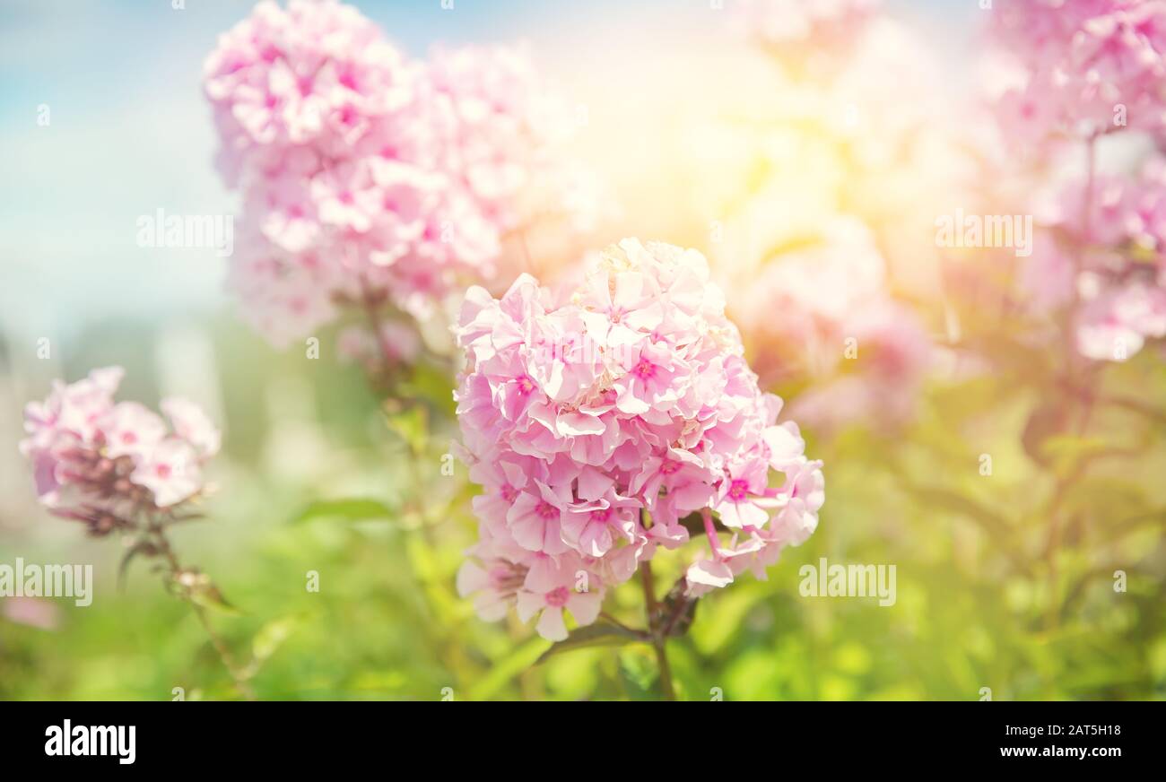 Nice filters hi-res stock photography and images - Alamy