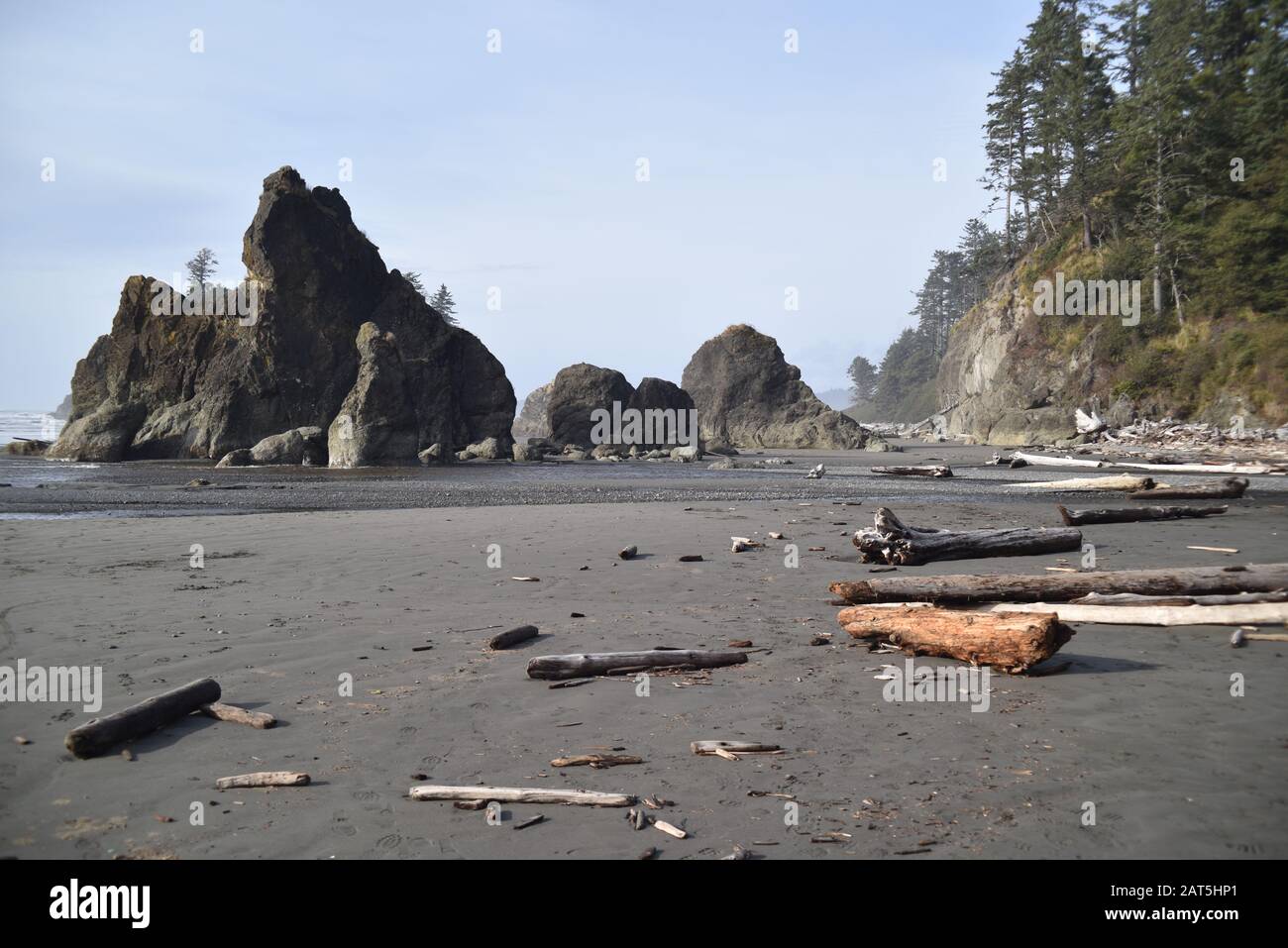 Olympic National Park, Washington state. U.S.A. October 17, 2017. Ruby ...