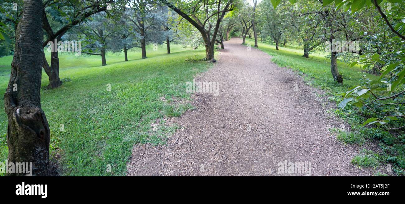 Foot trail hi-res stock photography and images - Alamy