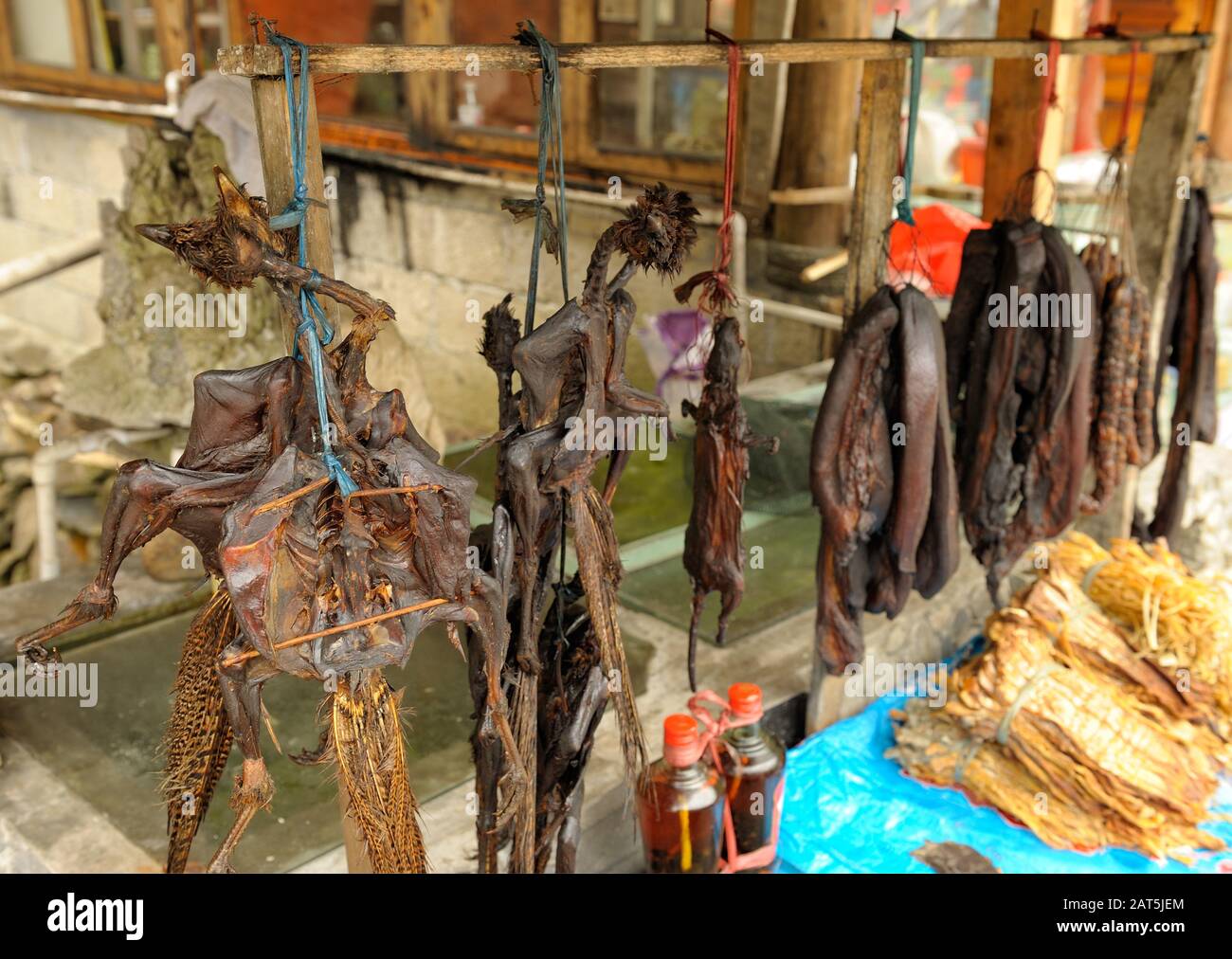 Dried birds, rat and other Chinese traditional food specialties with ...