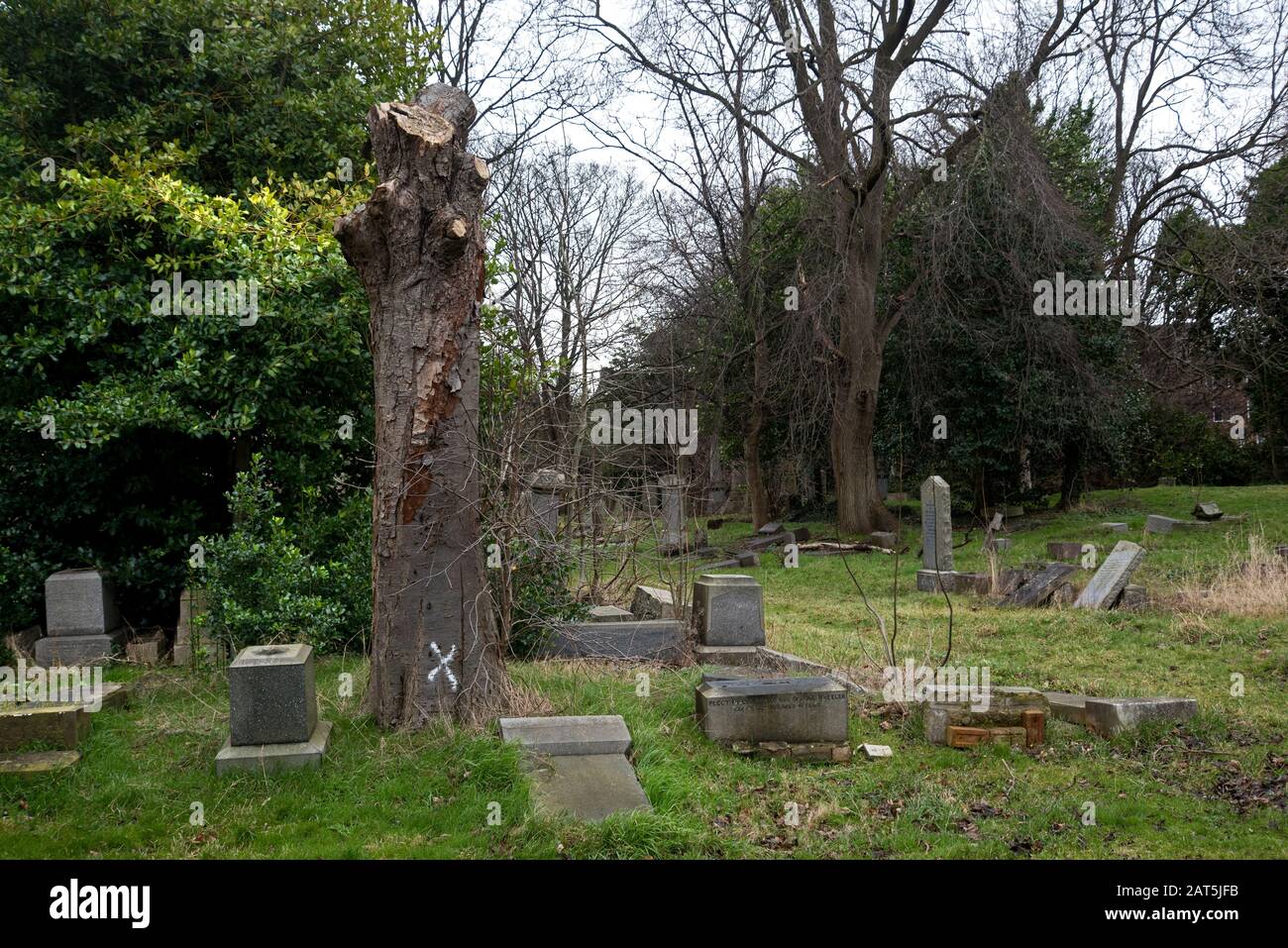 Neglected North Merchiston Cemetery, Edinburgh, Scotland, UK Stock ...