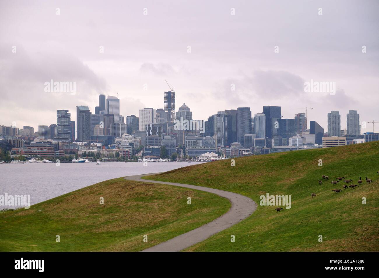 Washington state. Downtown Seattle. View of buildings from Gas Works ...