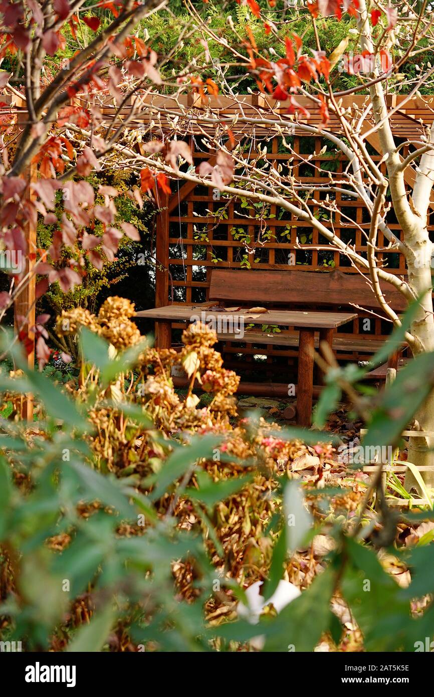 pergola with table and chairs in the autumn garden Stock Photo - Alamy