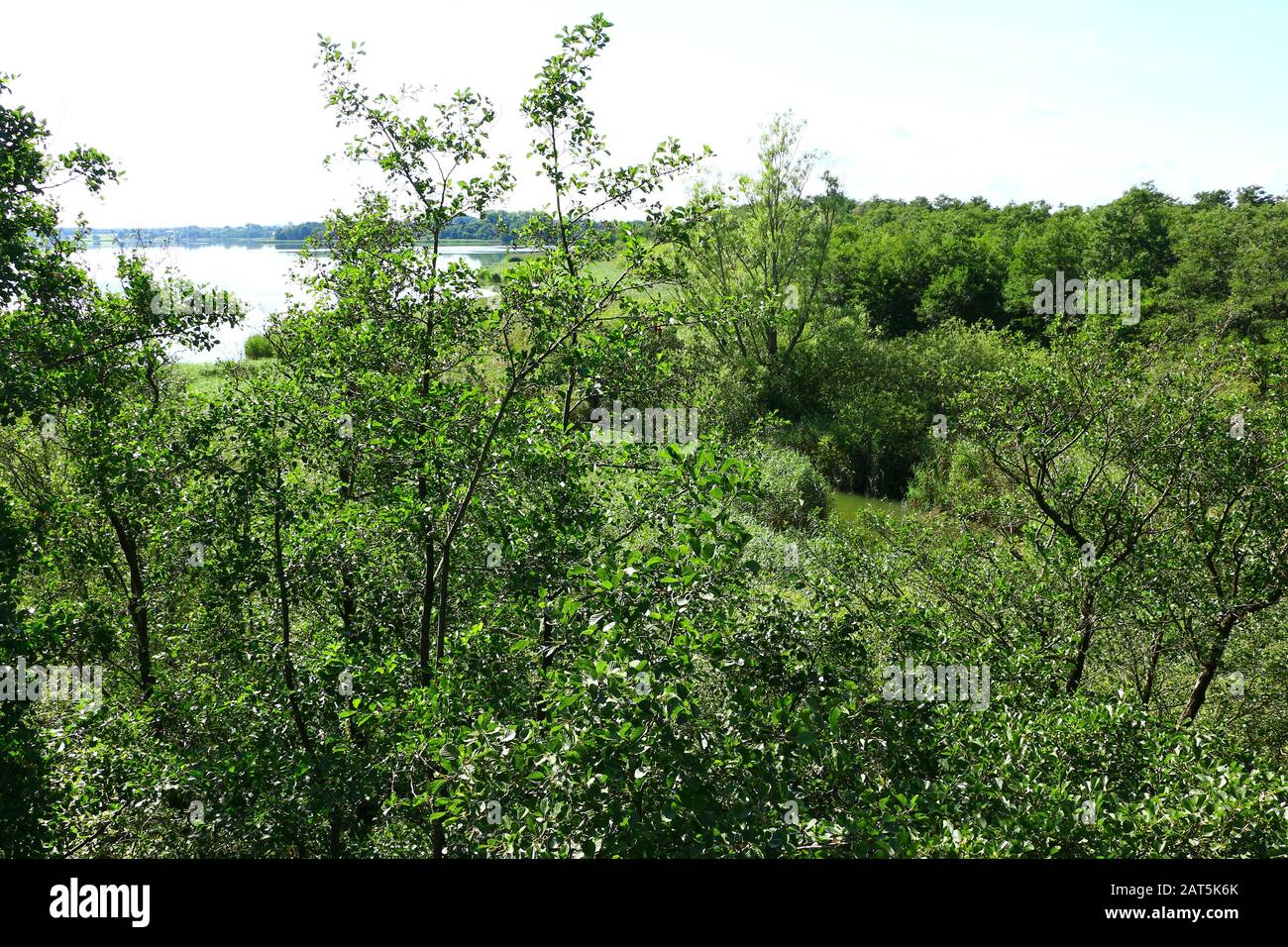 Hemmelsdorfer see hi-res stock photography and images - Alamy Hemmelsdorfer see hi-res stock photography and images - Alamy