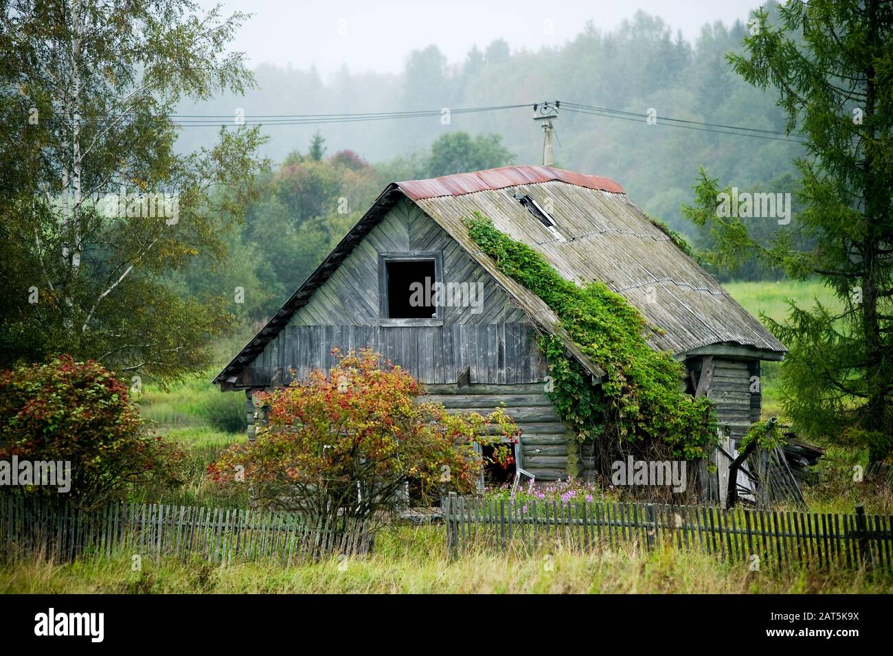 old abandoned rickety old wooden house without windows with a partially ...