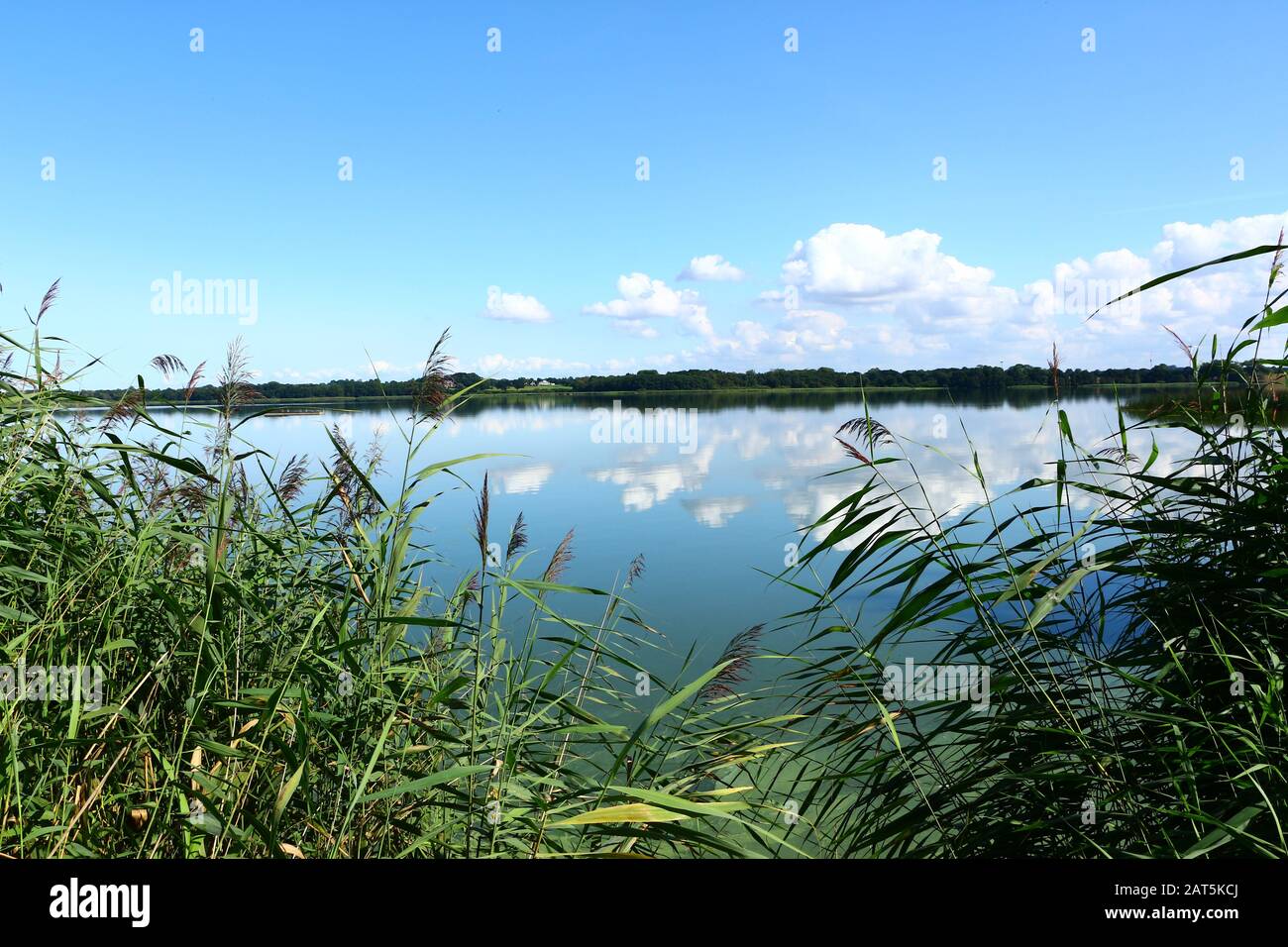 Blick auf den Hemmelsdorfer See an der deutschen Ostseeküste Stock ... Blick auf den Hemmelsdorfer See an der deutschen Ostseeküste Stock ...