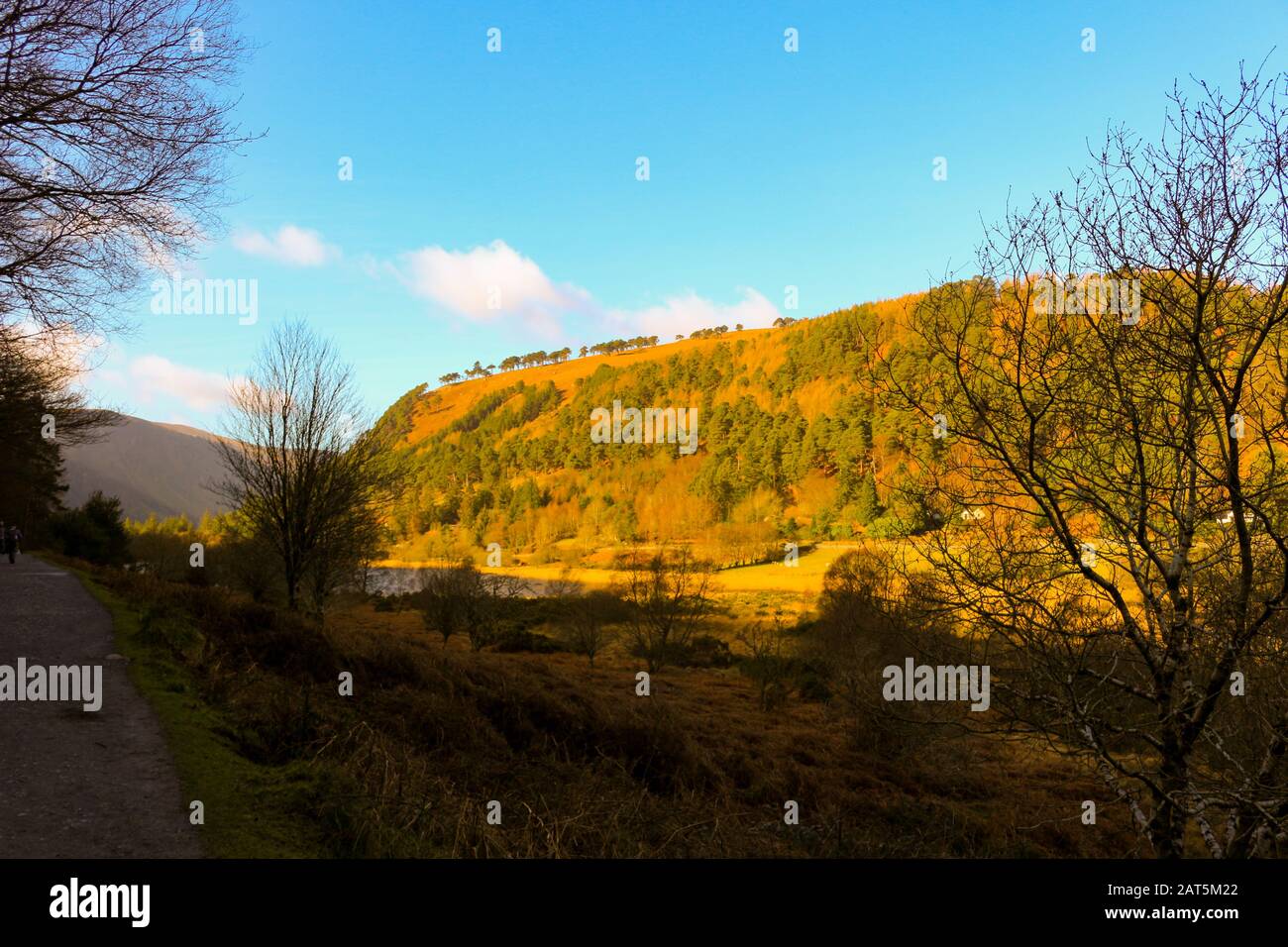 A trail along wicklow mountains in Ireland Stock Photo - Alamy