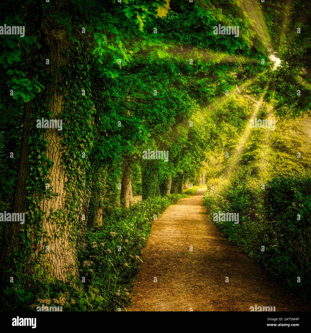 Evening summer walk hi-res stock photography and images - Alamy
