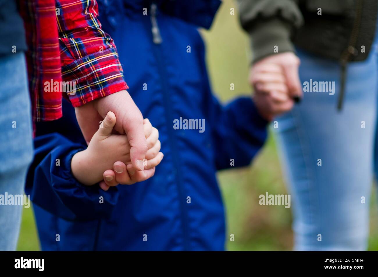 Parents hold their hands. Close-up, without faces. Focus on the hands ...