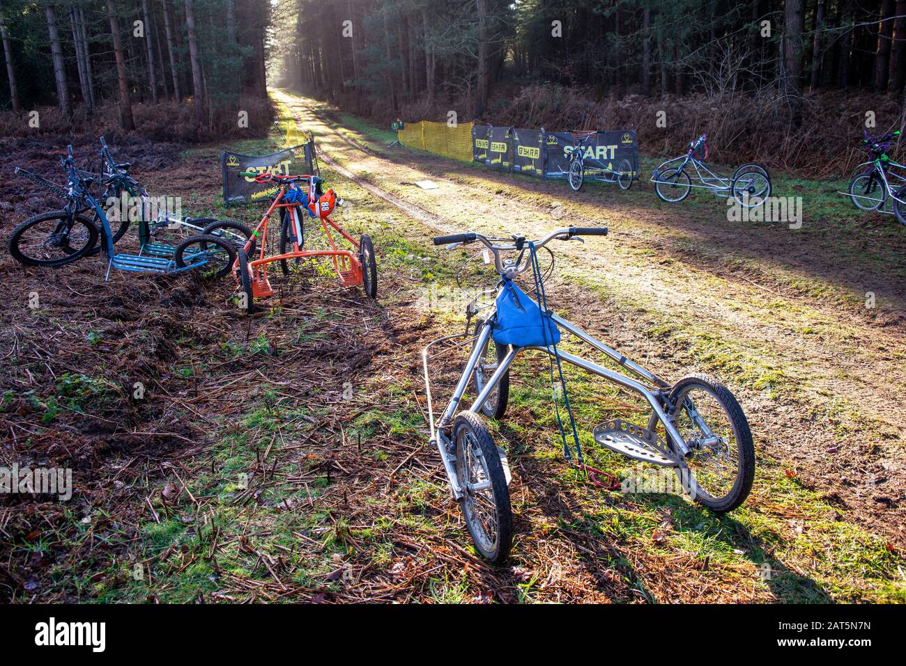 Dog carts hi-res stock photography and images - Alamy