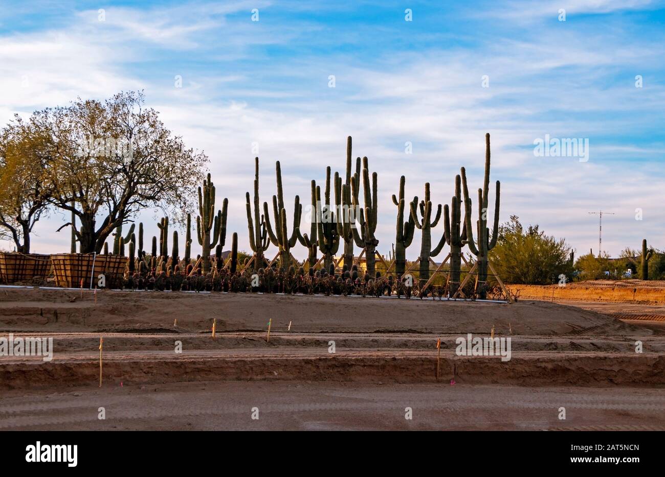 A New Home Construction & development site In the Phoenix Arizona area ...