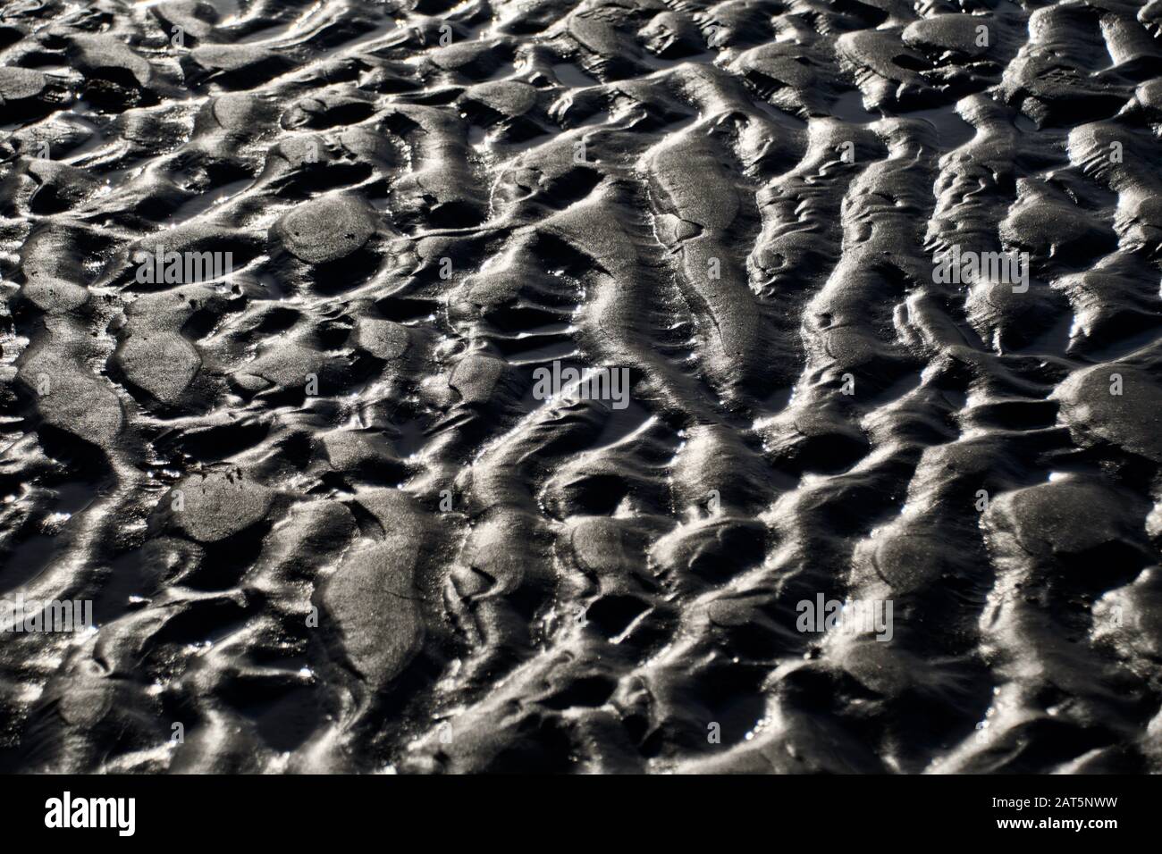 mud flats with excrements of worms (arenicola marina), Amrum Germany ...