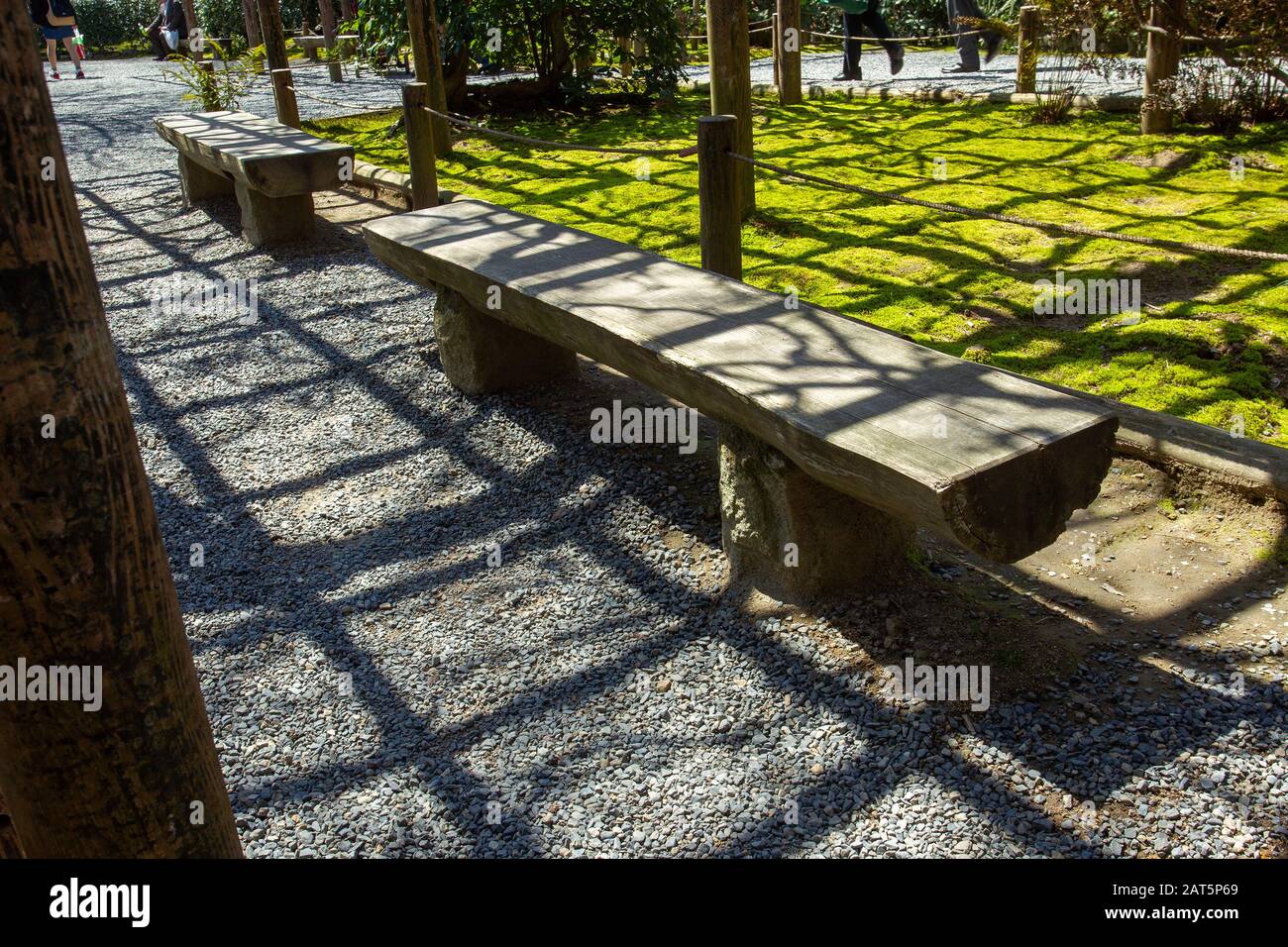 Half of trunk hi-res stock photography and images - Alamy