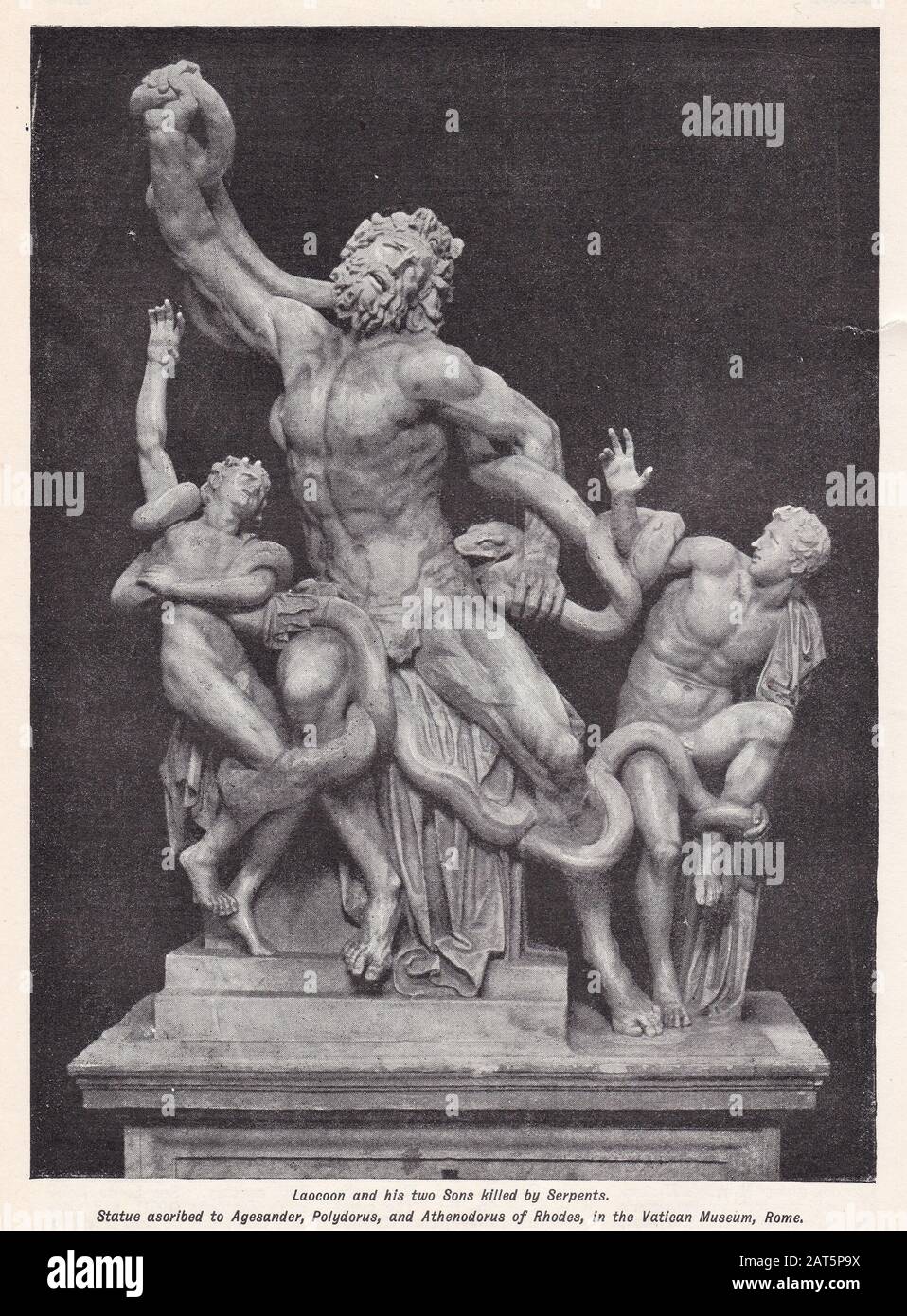 Statue of laocoon and his two sons killed by serpents hi-res stock ...