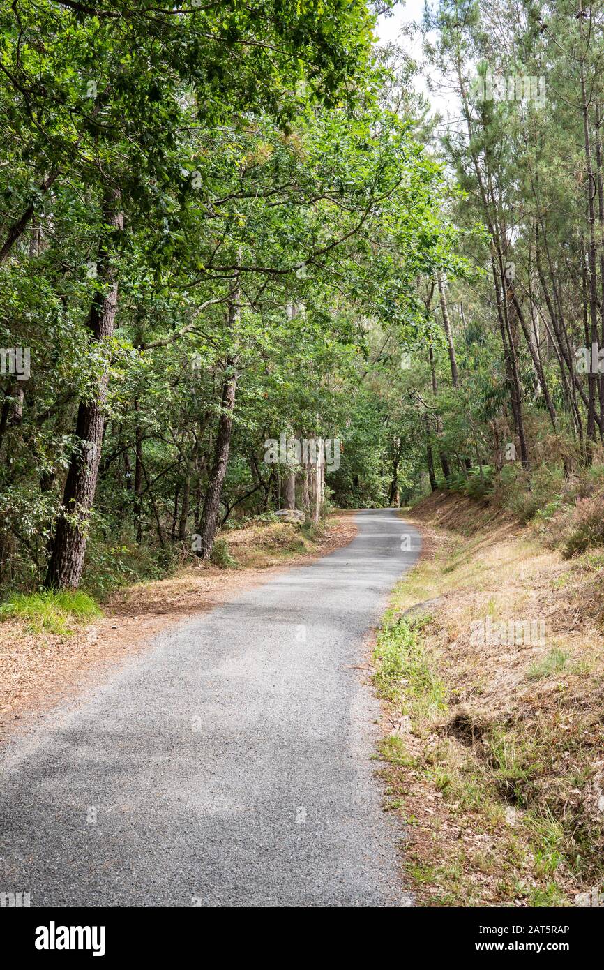 Beautiful route through the forest hi-res stock photography and images ...
