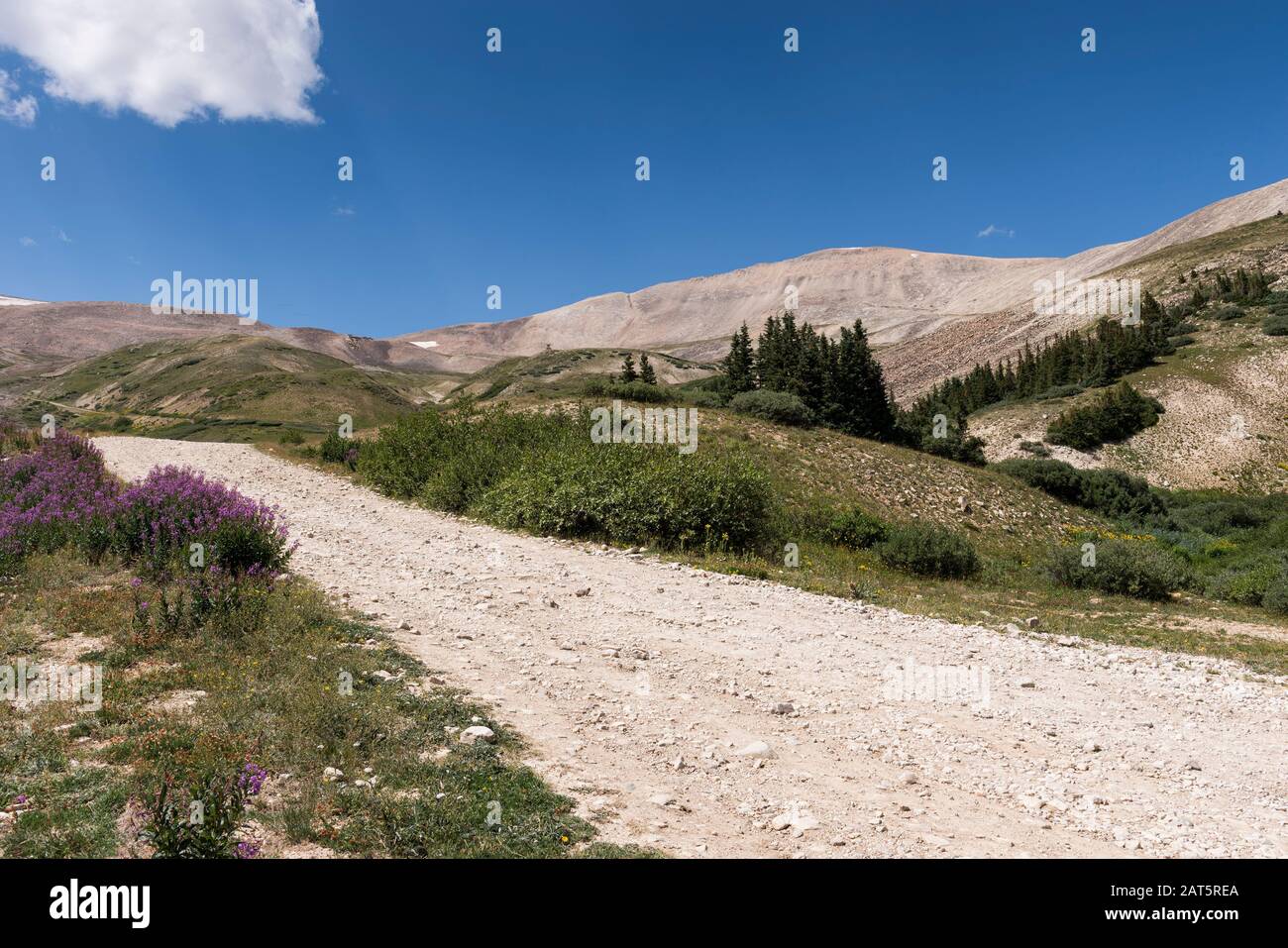 Mount Sherman is located in Lake County and is part of the Mosquito ...